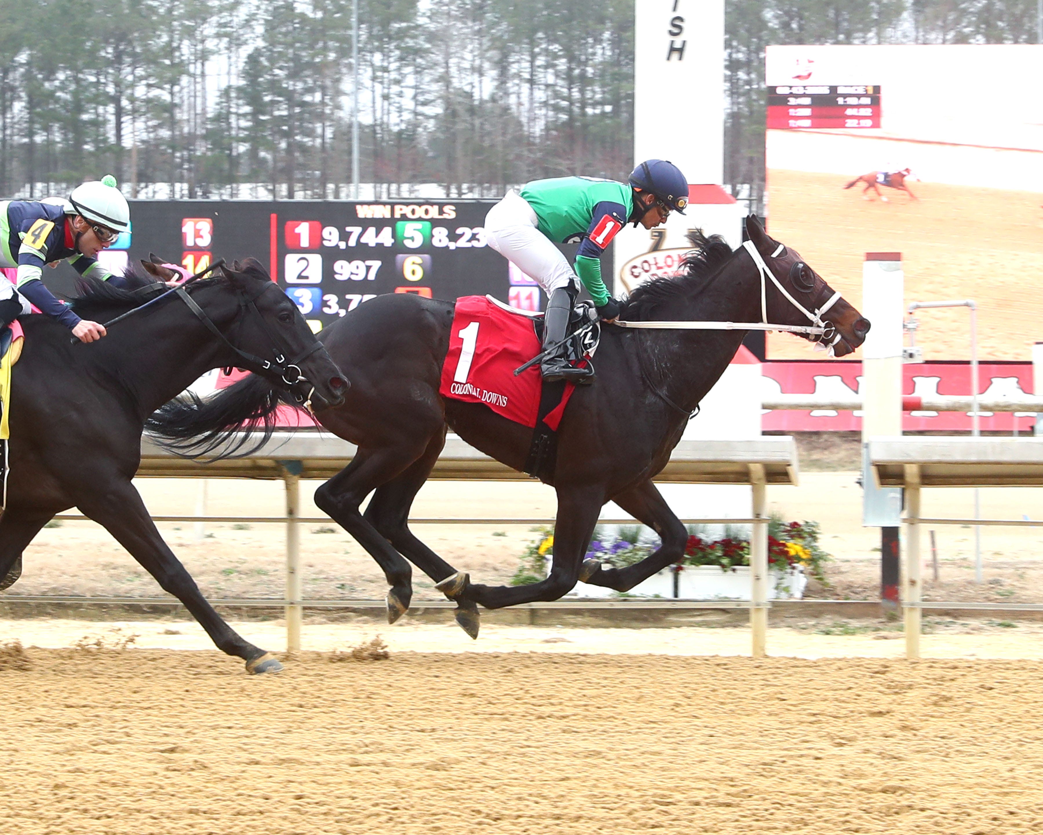Colonial Downs refunds first race bets after wagering approval confusion